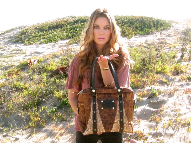 Seth Wegter Bags - Beauty Professor